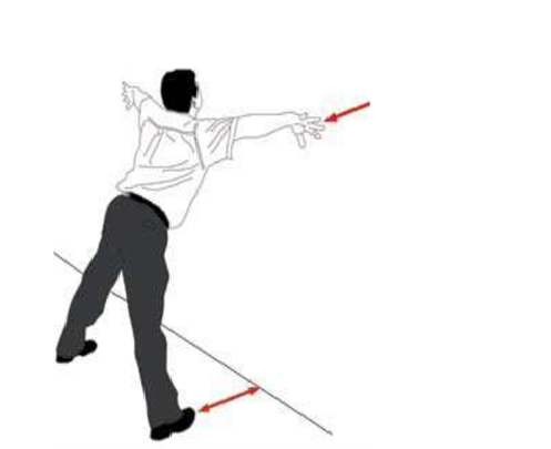 AIKIDO POLICIAL: TÉCNICAS DE APROXIMACIÓN Y CACHEO