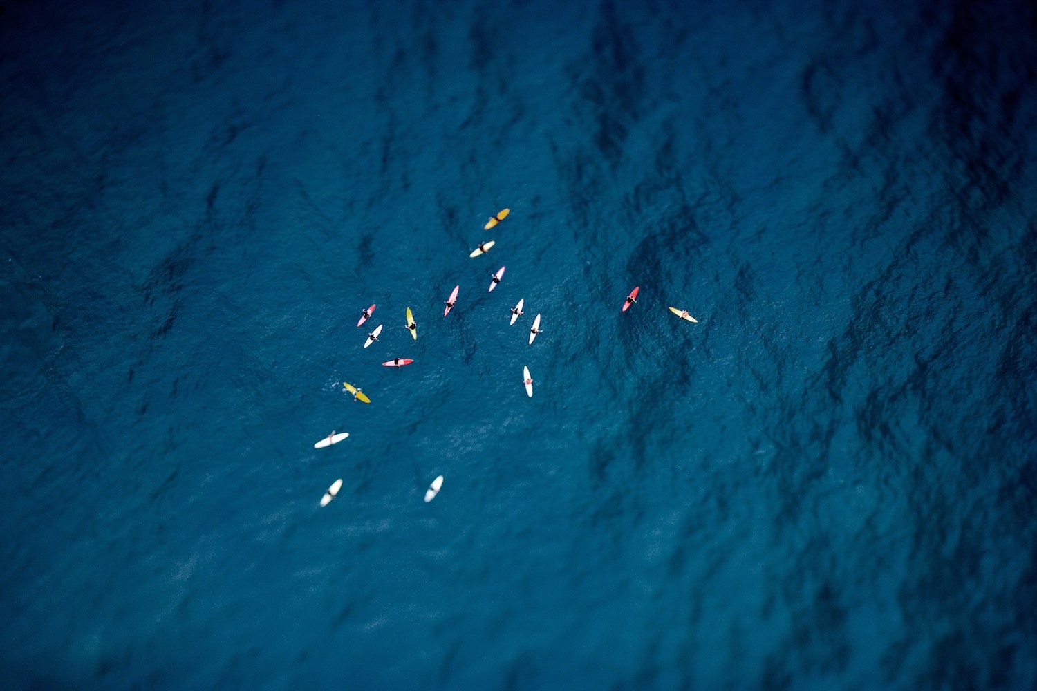 Up in the Air: Awesome Examples of Aerial Photography