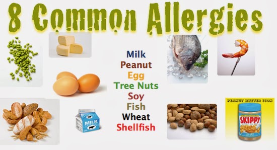 All The Wrong Grains all-the-wrong-grains