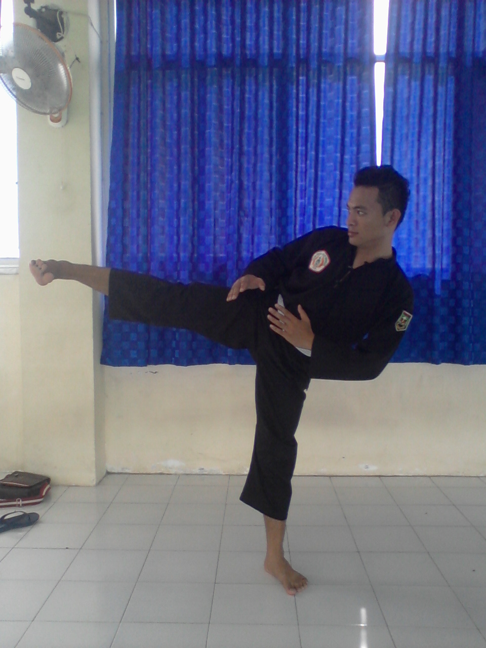 Wahyudi Erdian: TEKNIK-TEKNIK DASAR PENCAK SILAT