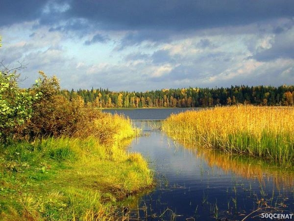 Payiz fesline aid sekiller-Xos Gelmisiniz