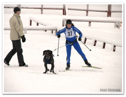 Minna Viide: Gallery