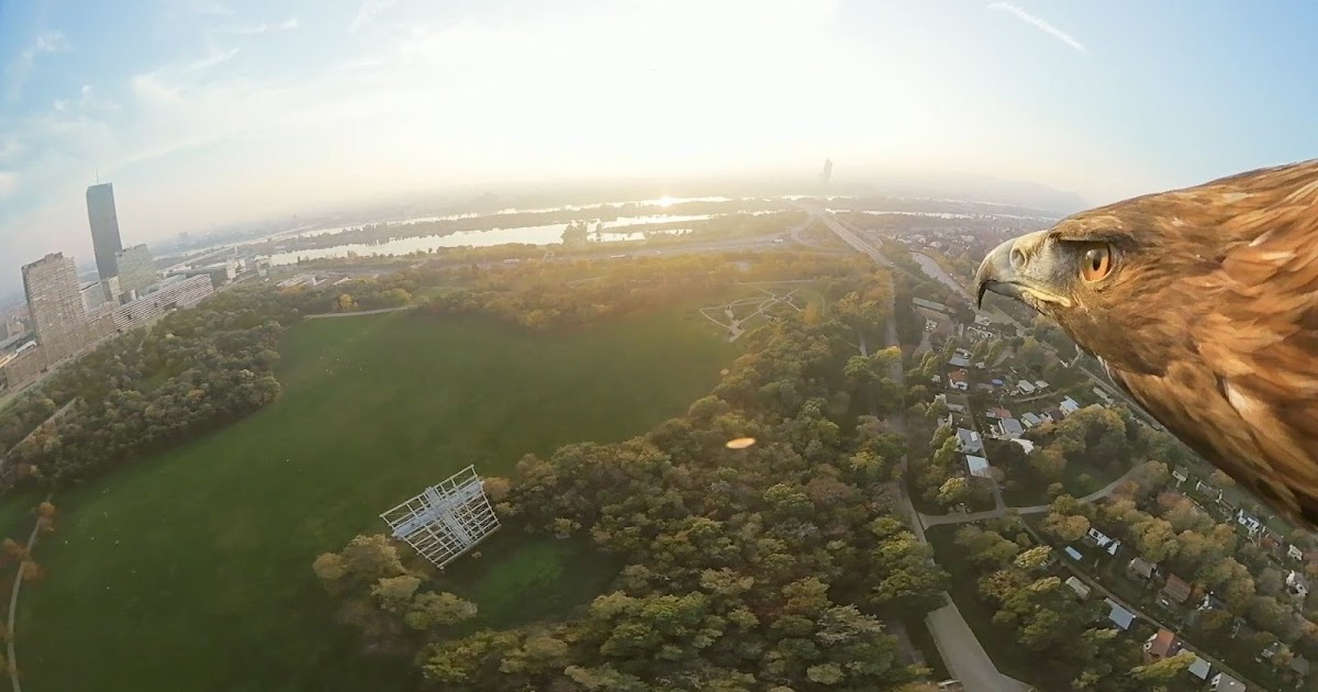 An Eagle's Eye View of Vienna - Tech News 24h