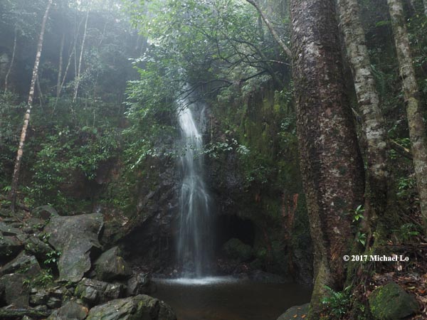 The rainforests of Borneo & Southeast Asia: Sandstone mountain of ...