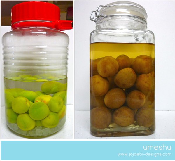 jojoebi designs: making umeshu...