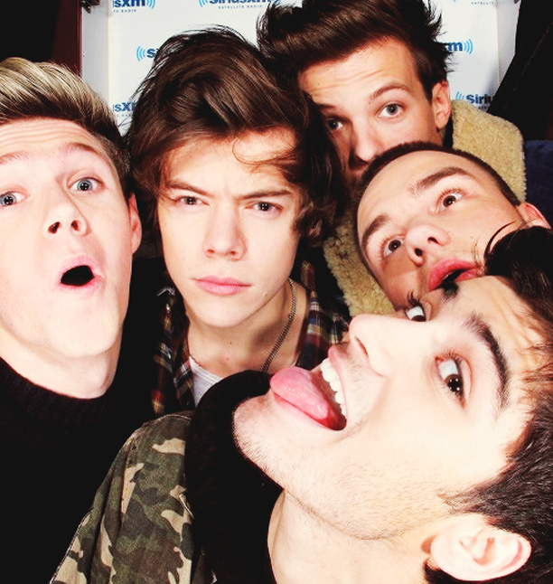 One Direction Worldwide Fans: One Direction Selfies!