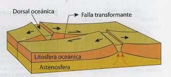 rosa maria: Tectonicas de placas y actividades