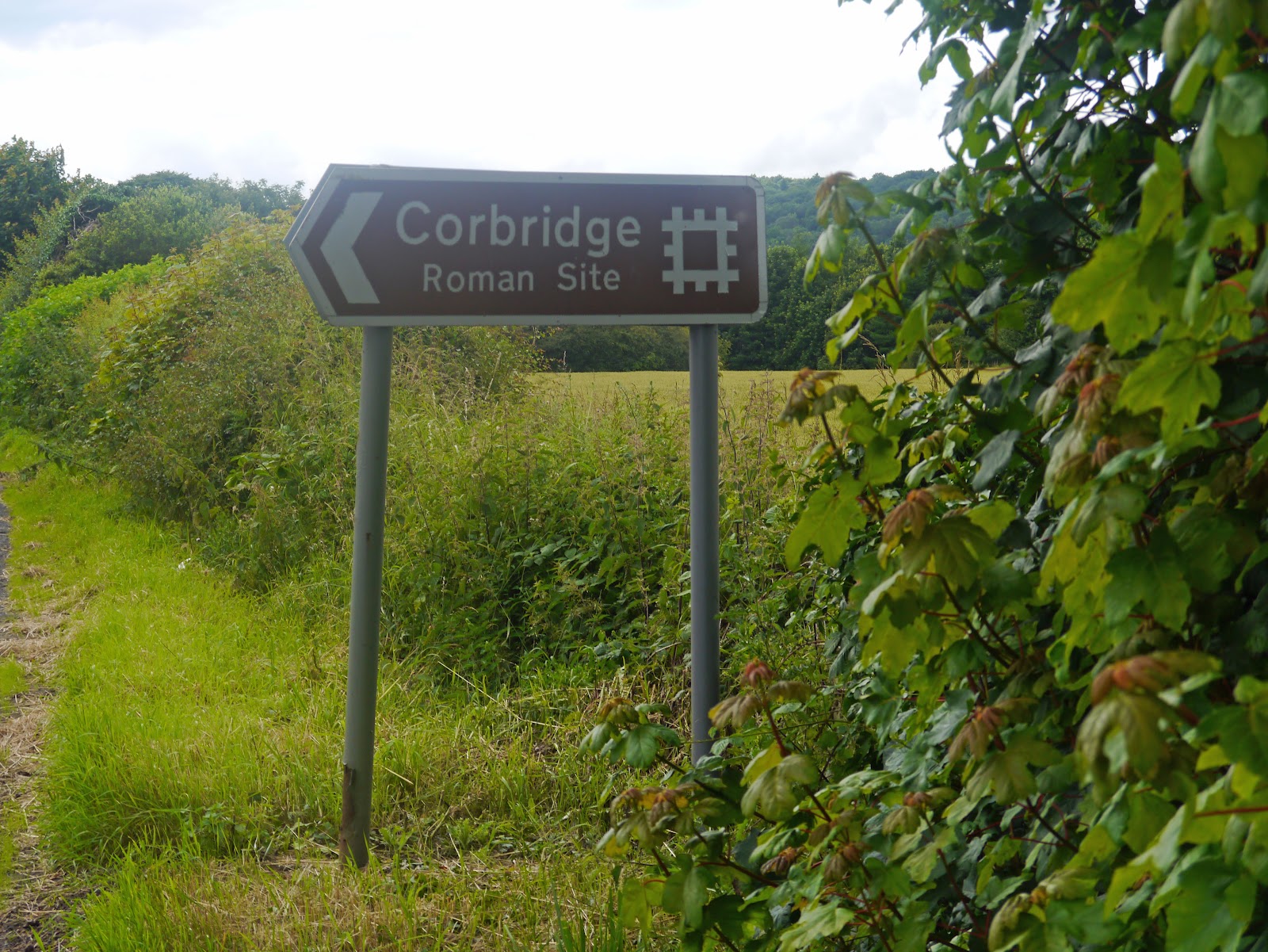 Photo blog: Newcastle-Hadrian's Wall-Corbridge Roman Town-misc