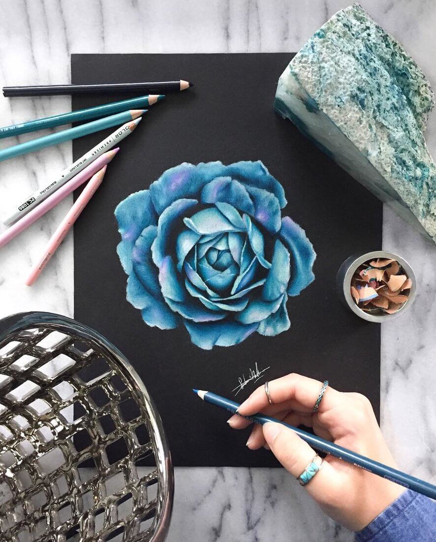 Realistic Blue Rose Drawing