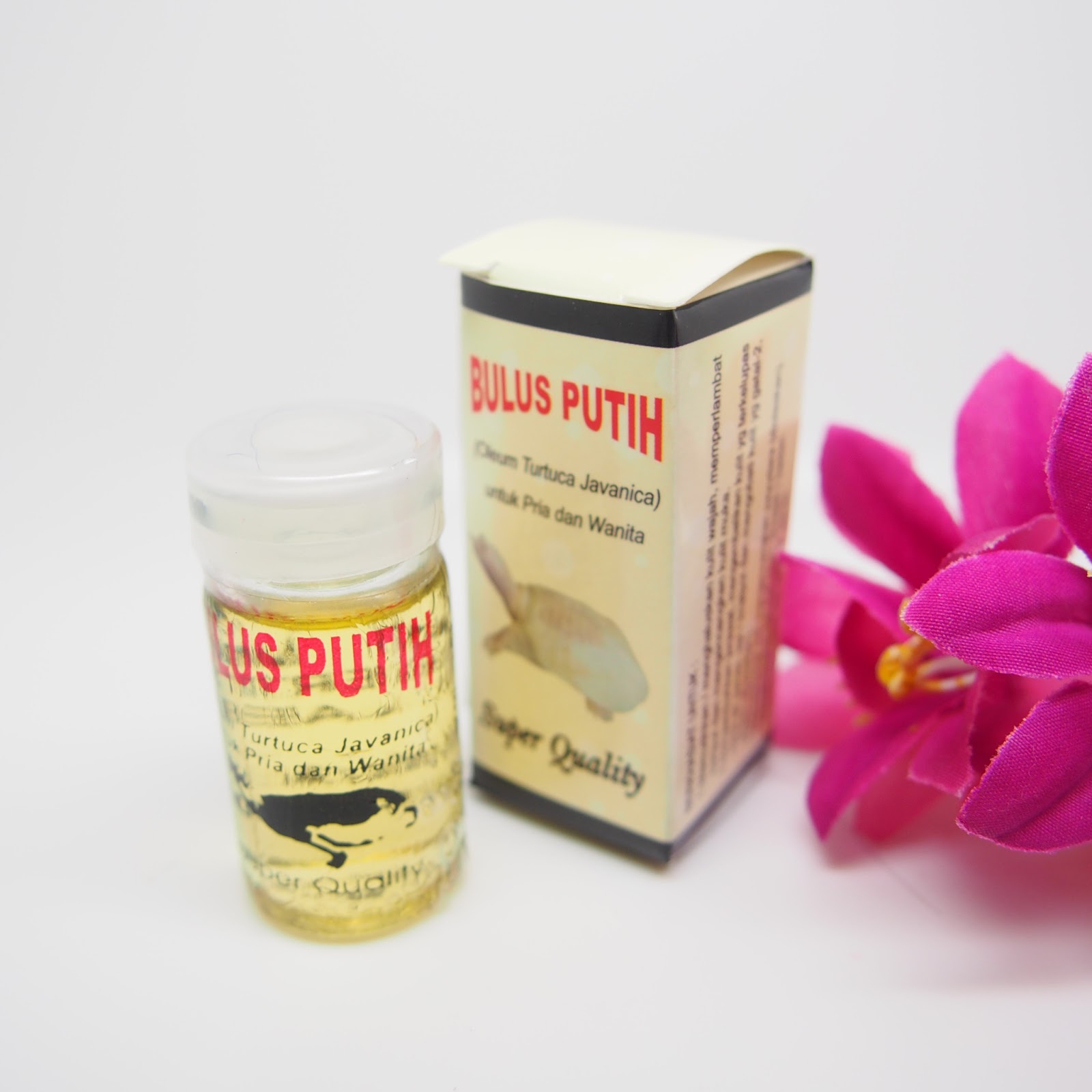 MINYAK BULUS PUTIH ASLI