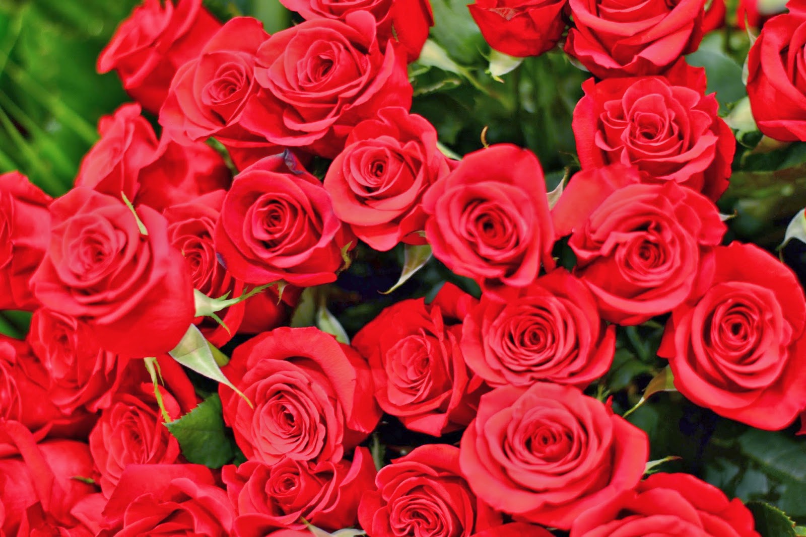 Spearwood Florist Blog: February 2014