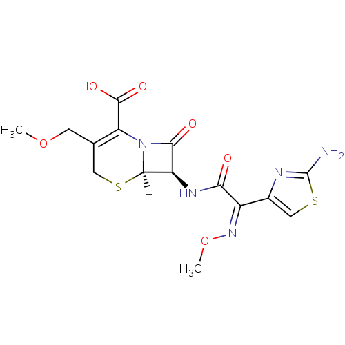 Pharmacology Of Cefpodoxime