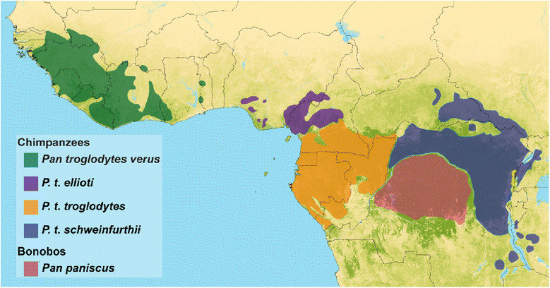 Razas, variedades y subespecies: ¿son lo mismo?