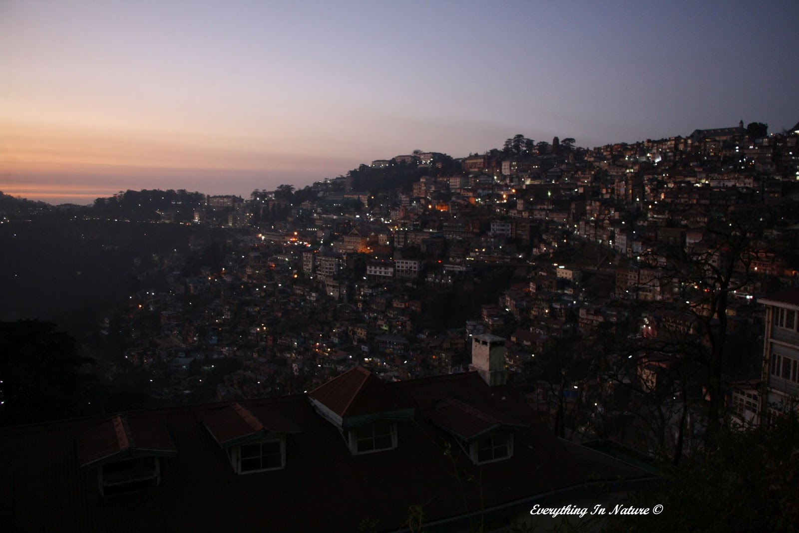 Everything In Nature: Seven Hills Beauty Shimla