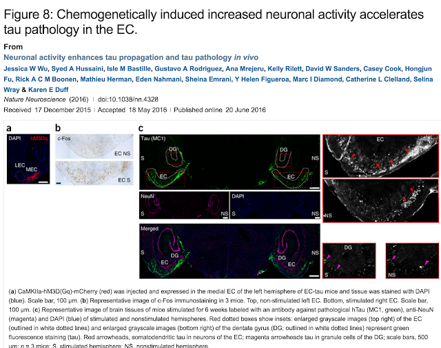 Nature Neuro: Using opto and chemogenetics to enhance tau propagation ...