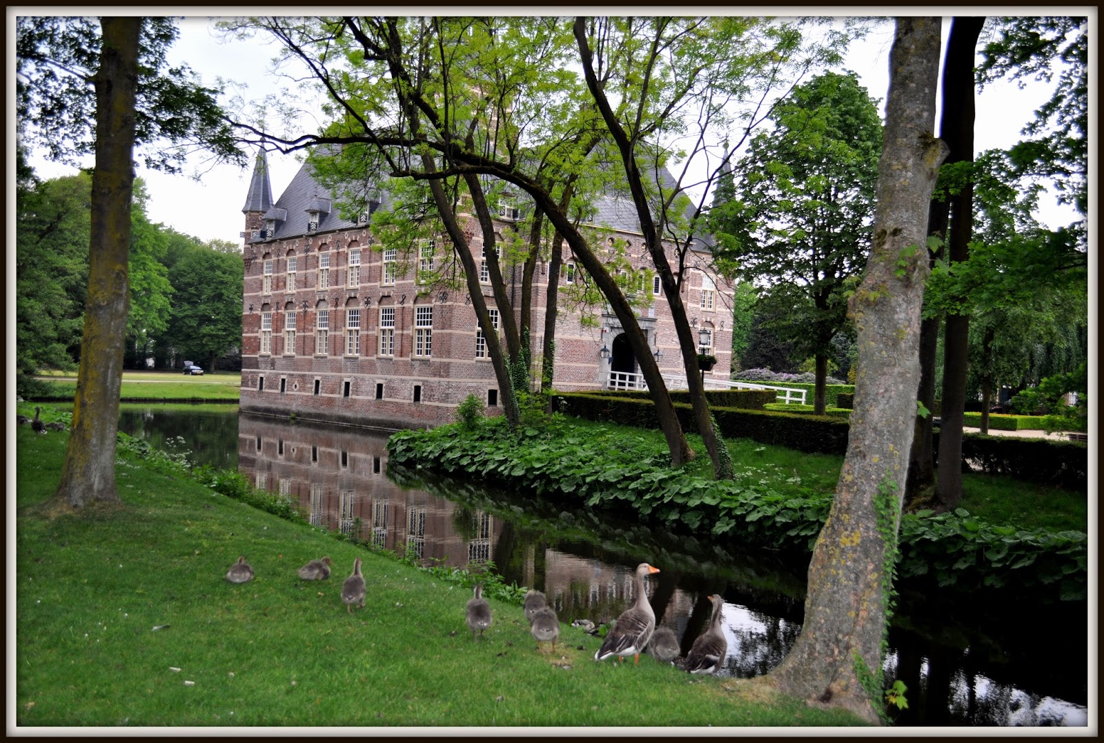 DUTCHCORNER: A bike tour in Holland