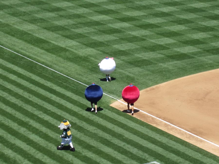 Captive Wild Woman: Dot Racing at the Oakland Coliseum