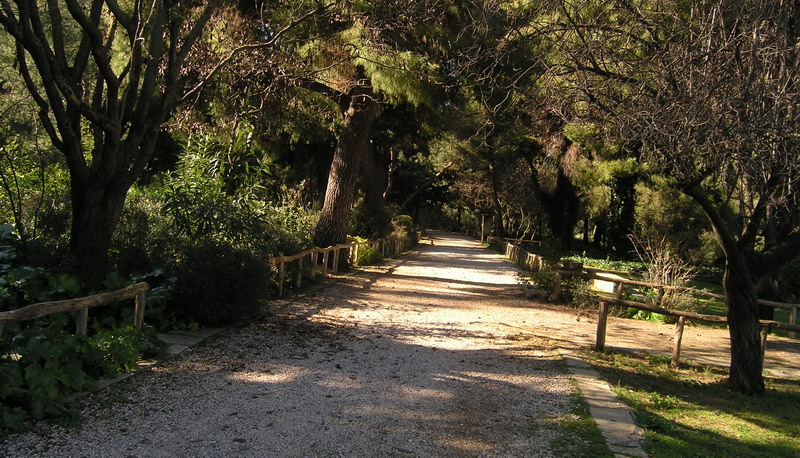 ΤΑΞΙΔΙΑ ΜΕ ΕΝΑΝ ΕΥΡΥΓΩΝΙΟ: ΒΟΤΑΝΙΚΟΣ ΚΗΠΟΣ, ΧΑΪΔΑΡΙ, ΑΘΗΝΑ