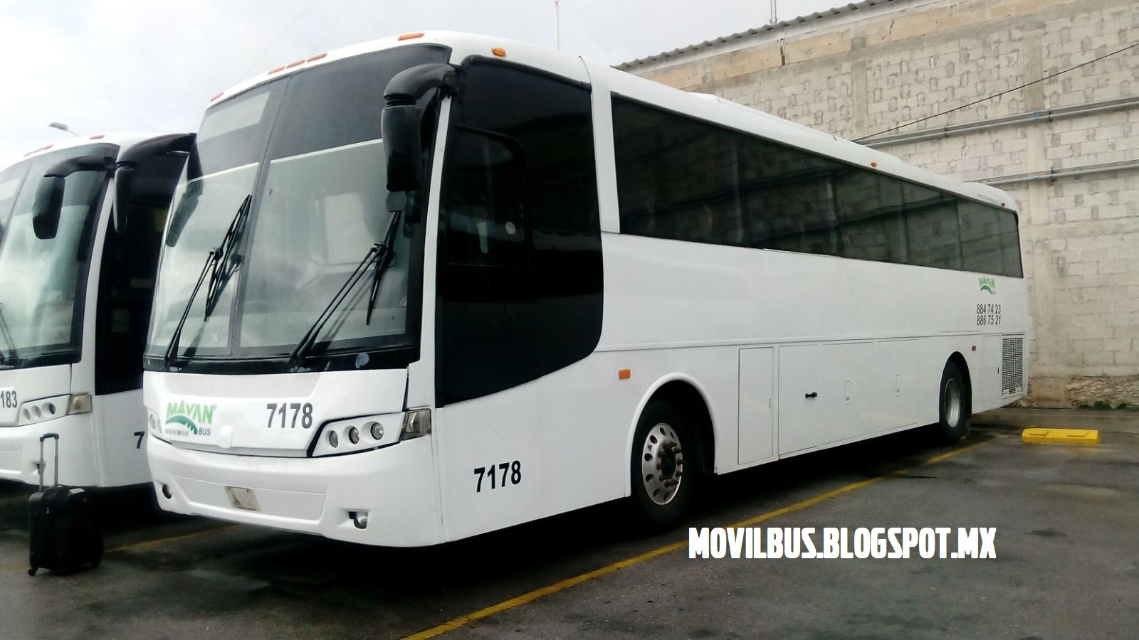 BUSSCAR 320 MAYAN BUS.