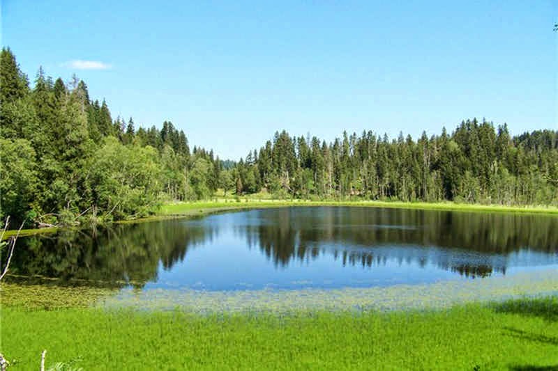 Guria - Side of Georgia ~ travel in Georgia