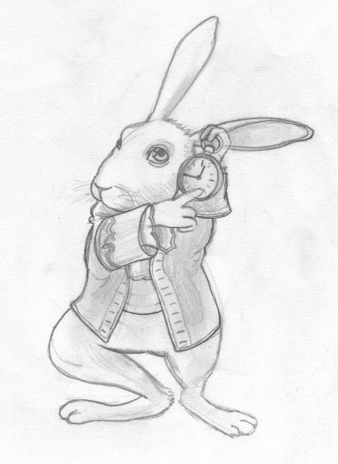 le blog de Mister Pilou: Lapin Blanc.