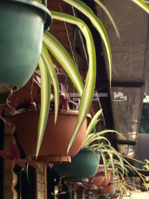 Session Road: Baguio Restaurants and More - Travex Travels - Travel ...