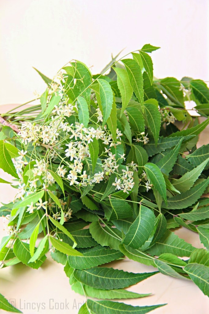 Preserved Neem Flower/ Dried Neem Flower ~ Lincy's Cook Art