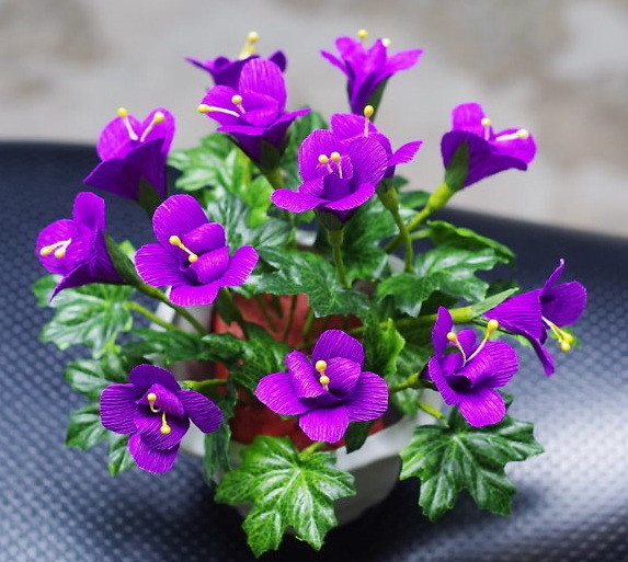 Ý Nghĩa Loài Hoa Violet - Violet