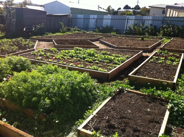 Small Farm Sustainable Living: Vegie Patch Examples