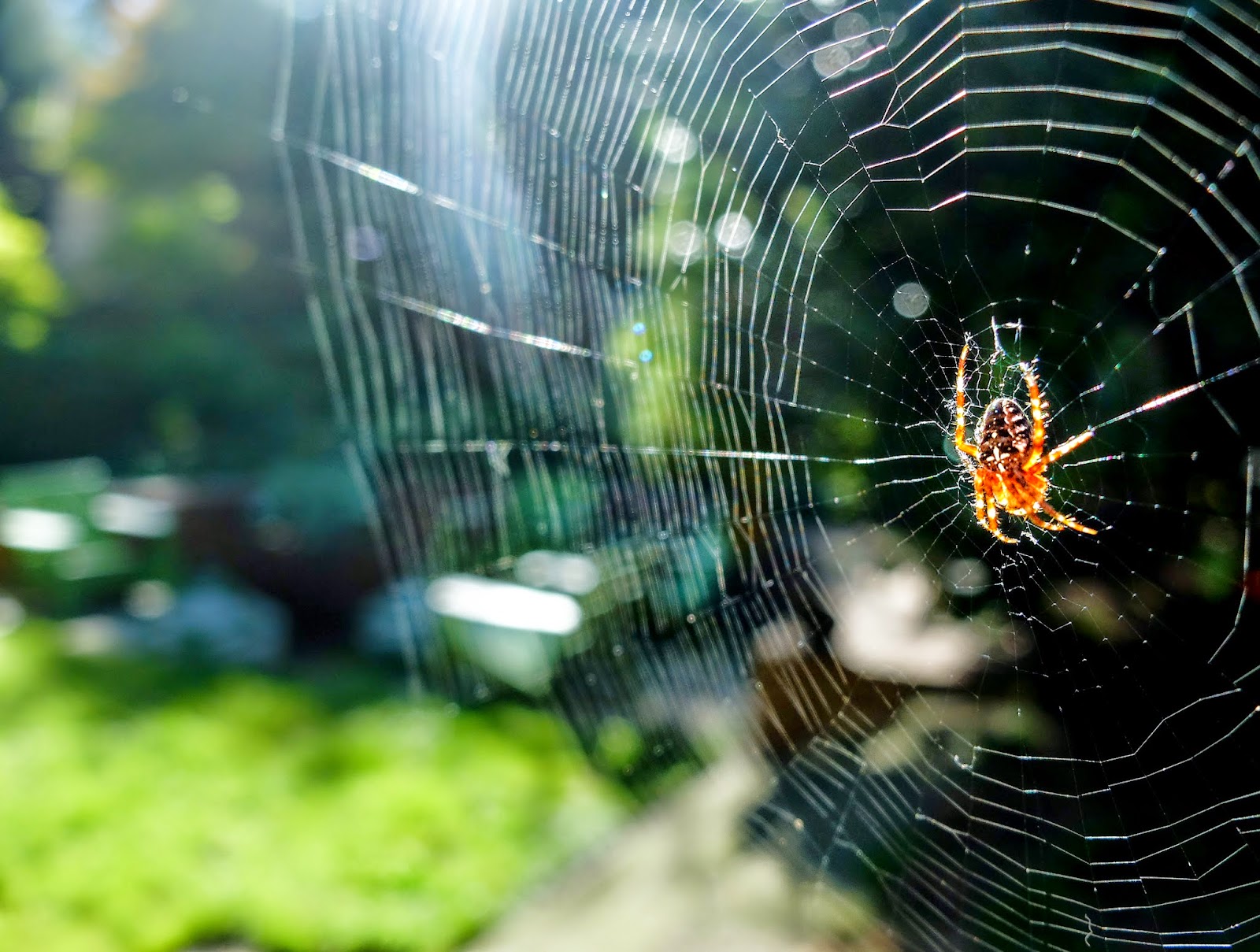 Jake Klonsky Photography: Project 2 Framing and Composition