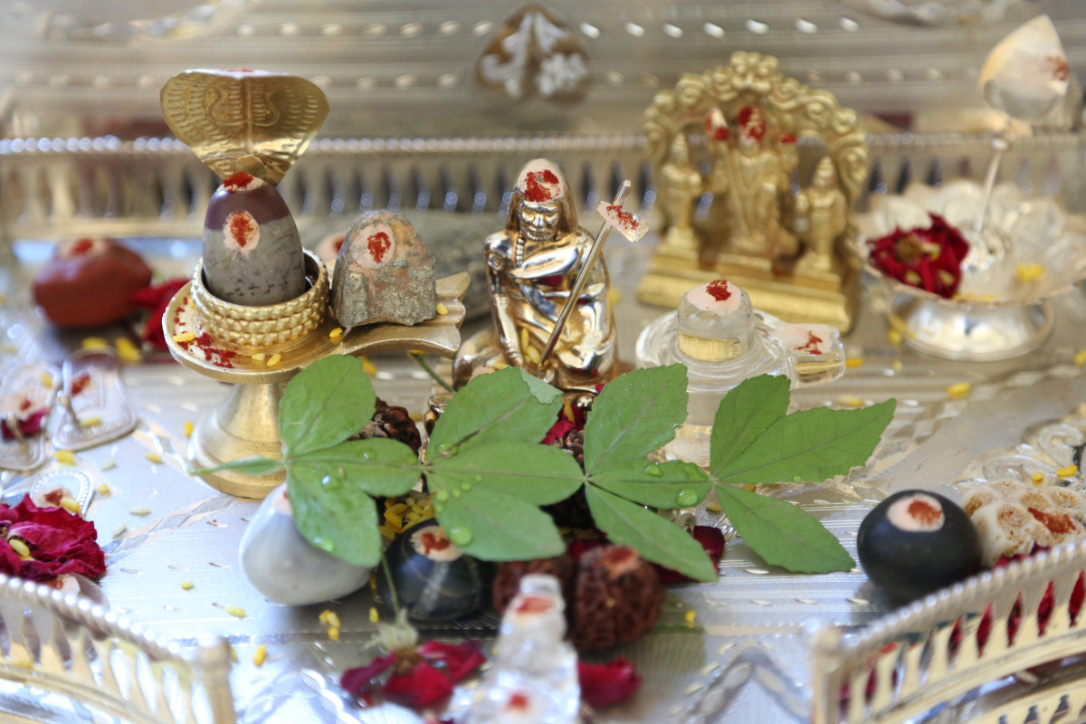 Asucre Bilvam or Vilvam ~ Bael ~ Wood Apple ~ Aegle Marmelos