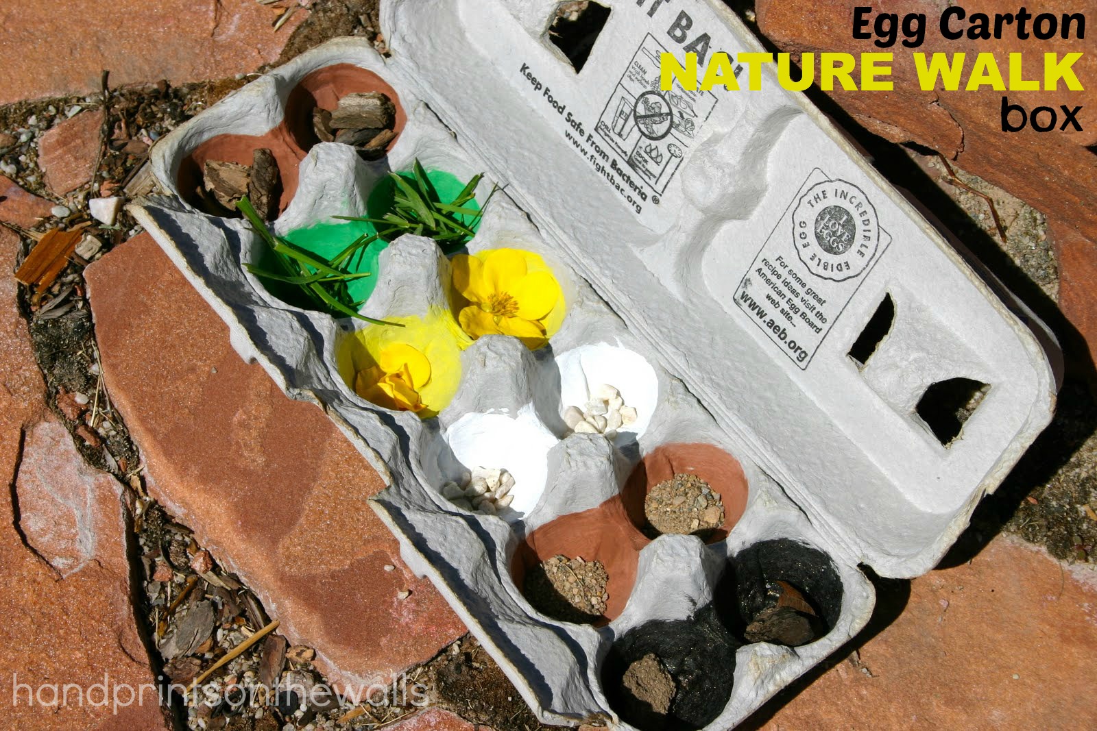 Handprints on the Walls: Nature Walk Egg Carton