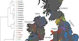 IrishGenealogyNews: Unique study delivers first genetic map of the ...