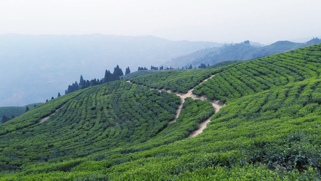 Adventure Time In Kanyam / Adventure Time In Kanyam