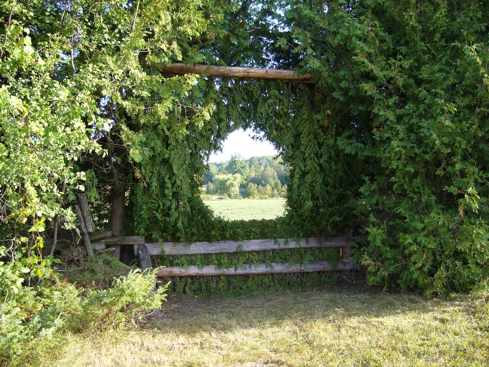 Hugh Morshead's Blog: Cross country jumps