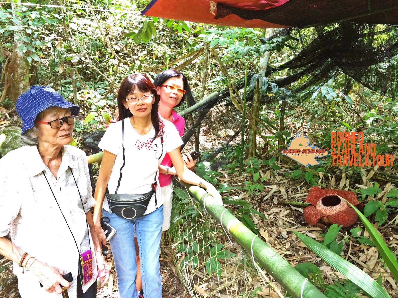 Borneo Starland Travel & Tour: BUNGA RAFFLESIA : Bunga terbesar di dunia