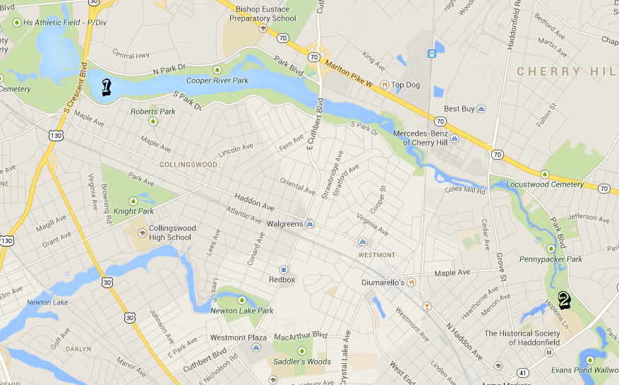 Extreme Philly Fishing: Introducing the Cooper River Lake and the Upper ...