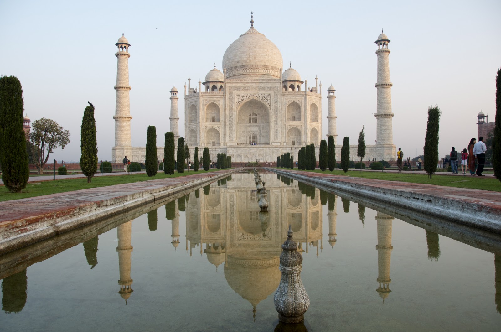 Why MonaVie Business: MonaVie India