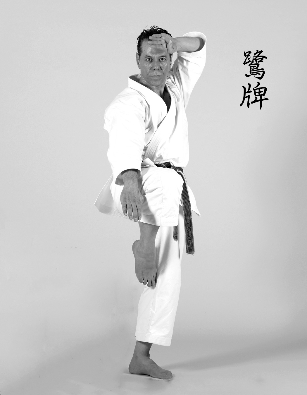 Itosu-kai España: Rohai y Meikyo