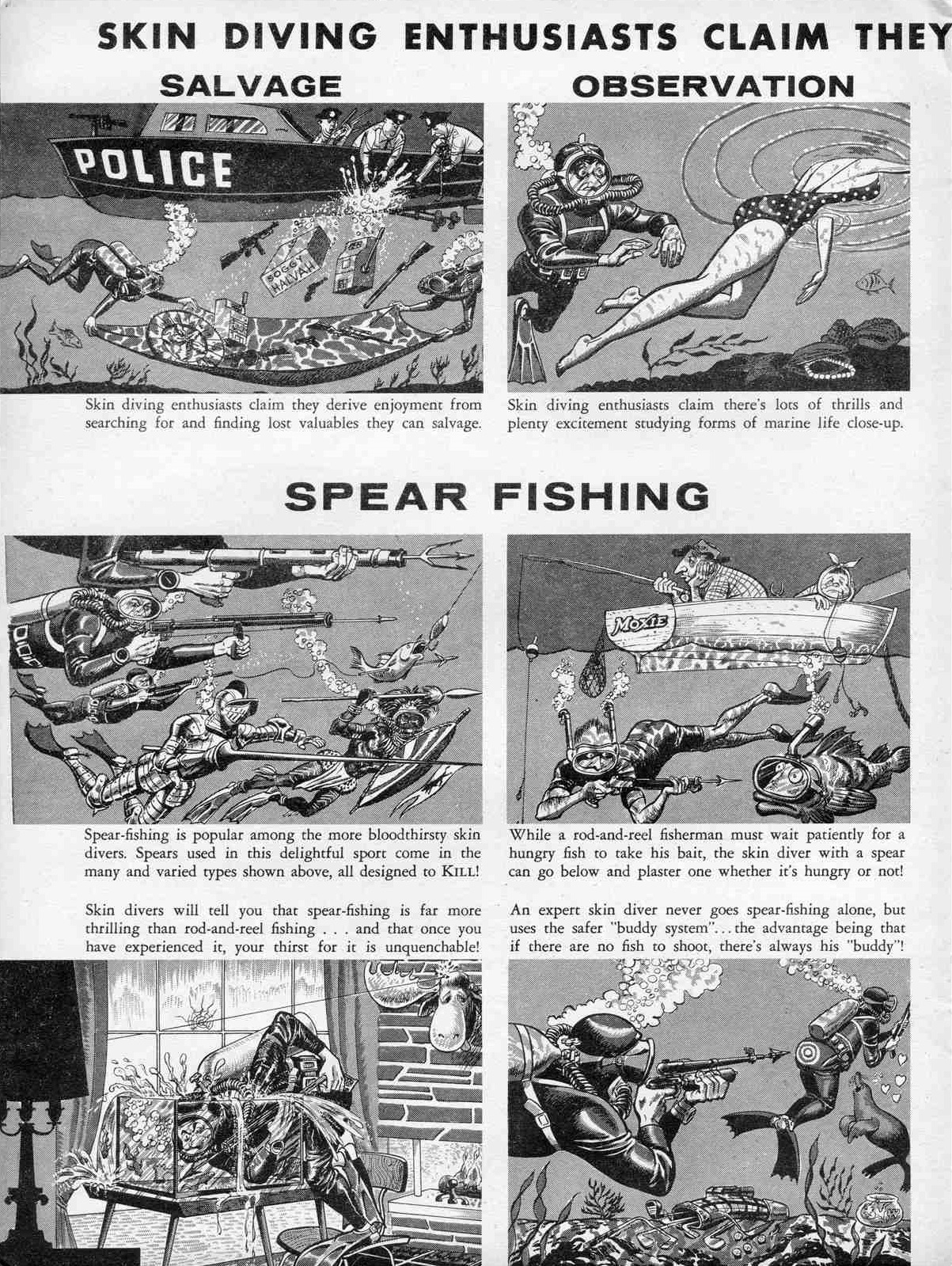 The Art of Diving: The Mad Art of Diving - Dave Berg