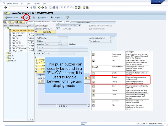 青蛙SAP分享 Froggy's SAP sharing: N13 SAP Buttons/ICONS Explained