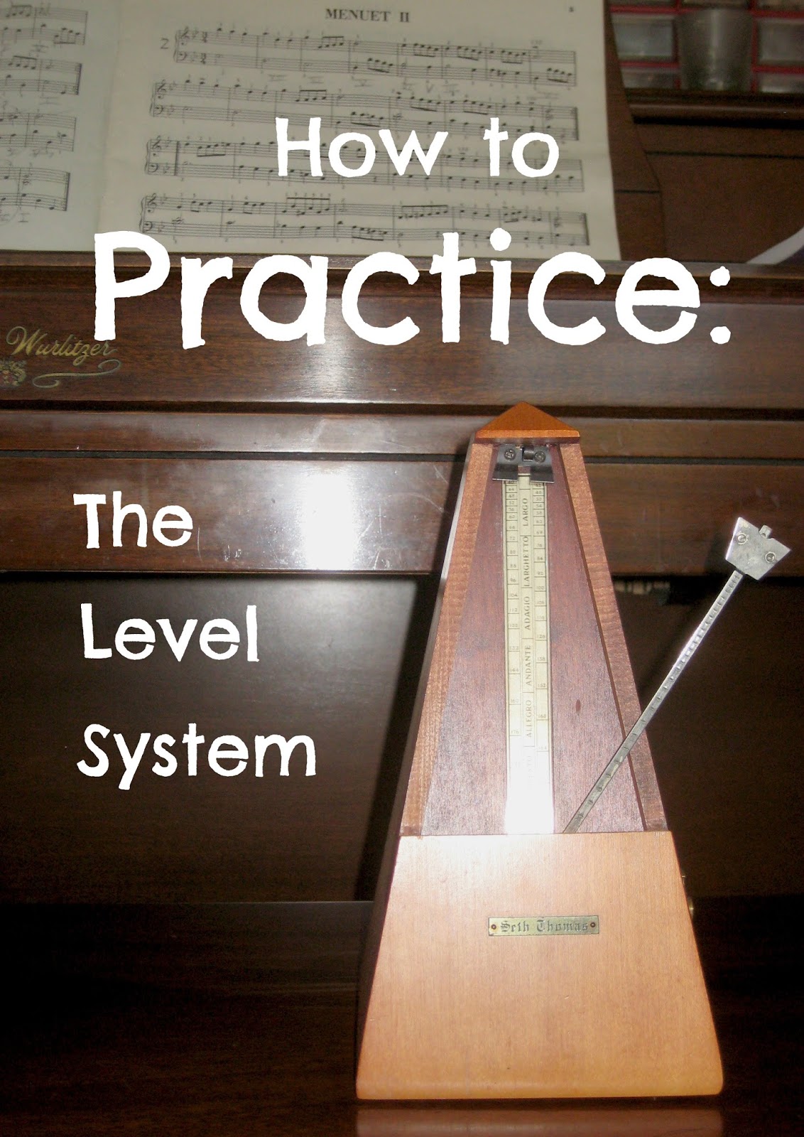 If a Duck were a Songbird...: How to Practice Music: Using the Level System