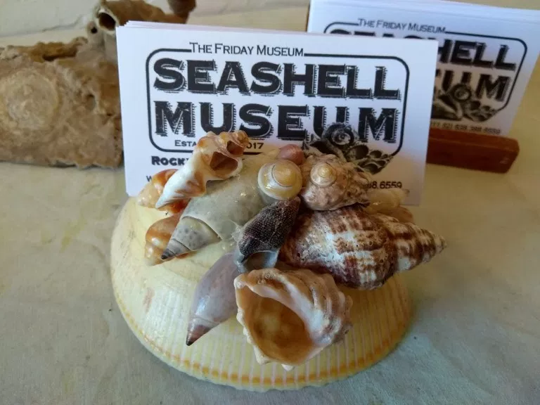 SeaShell Museum: Friday Seashell Museum 2019 - 2020 Season