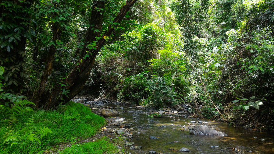 Mayantoc Tarlac - Trekking Adventure to Kiti Calao Falls | Playing Tourist