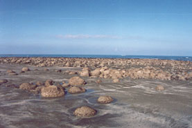 BEAUTIFUL EARTH: Sent Martin Natural Beauty