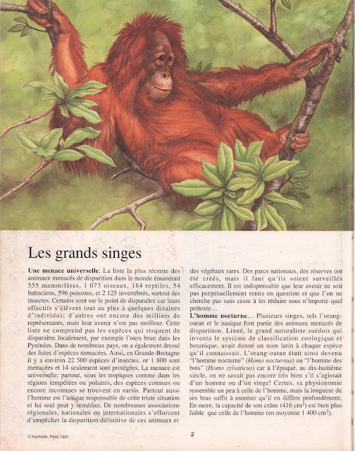 Leçons de choses: Pariselle, Les animaux en voie de disparition (1991)