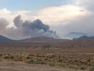 The Eureka Miner: SPECIAL REPORT: Frasier Fire, Eureka (08/16 UPDATE)