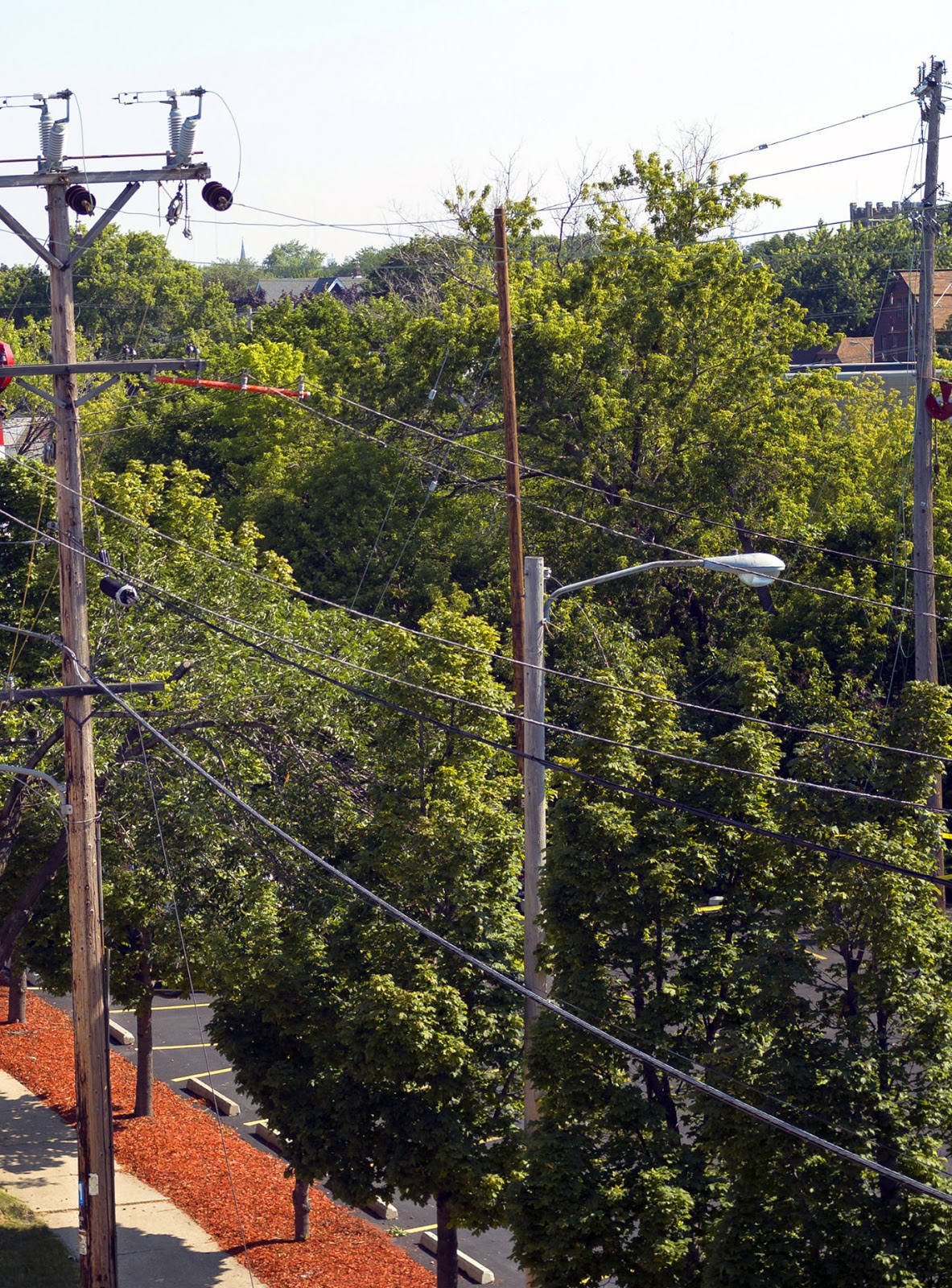 We Energies News: We Energies honored by Arbor Day Foundation with Tree ...