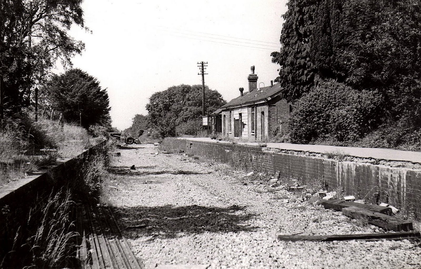 the rail thing: medstead