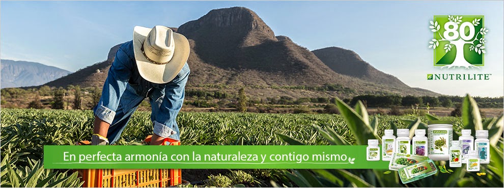 Conoce más sobre la mejor empresa, ¡Simplemente Amway!: Amway y las ...